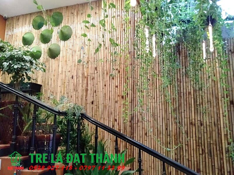 Thi Công Ốp Tường Tre Trúc Trang Trí Giá Rẻ Đẹp Mắt